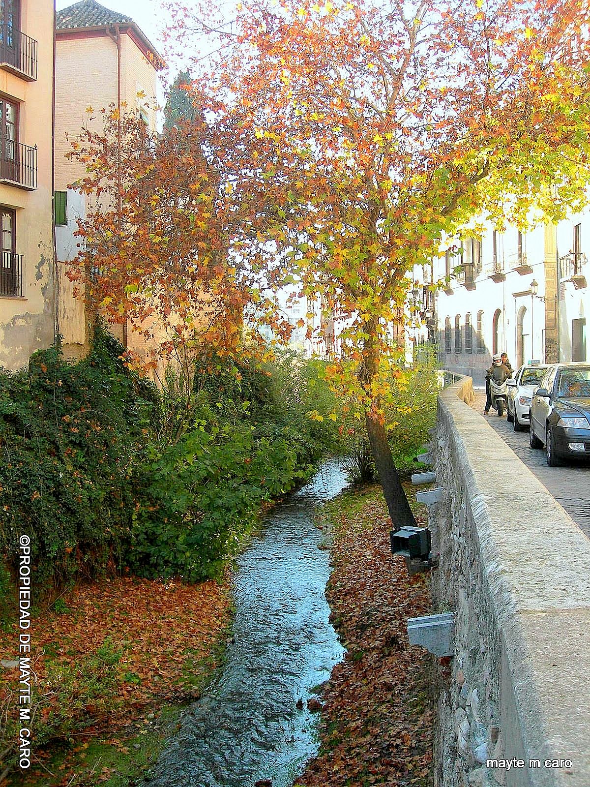 FUENTES EN GRANADA: NUESTRO RÍO DARRO A SU PASO POR LA CIUDAD