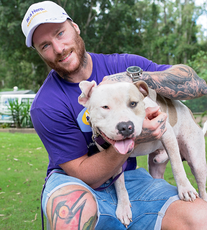 AWLQ Stray Animals Day Challenge - April 4 | Australian Dog Lover