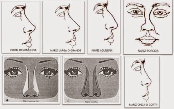 MAQUILLAJE: TIPOS DE NARIZ