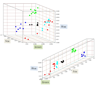 understanding signals and photographs: Pattern recognition