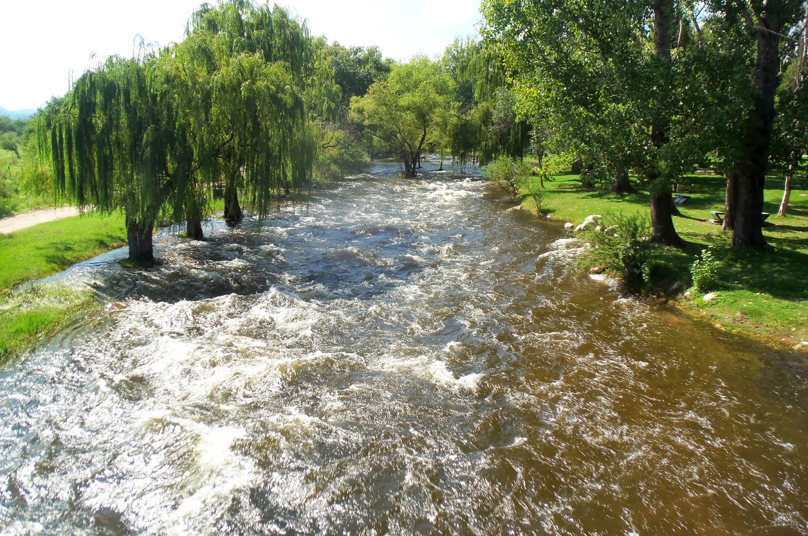 Periodismo de Traslasierra: RIO DE LOS SAUCES 2015
