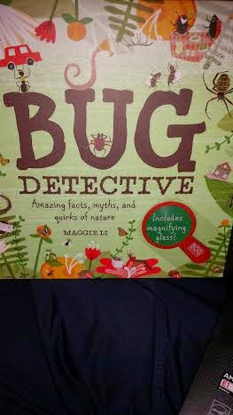 Bug Detective by Maggie Li