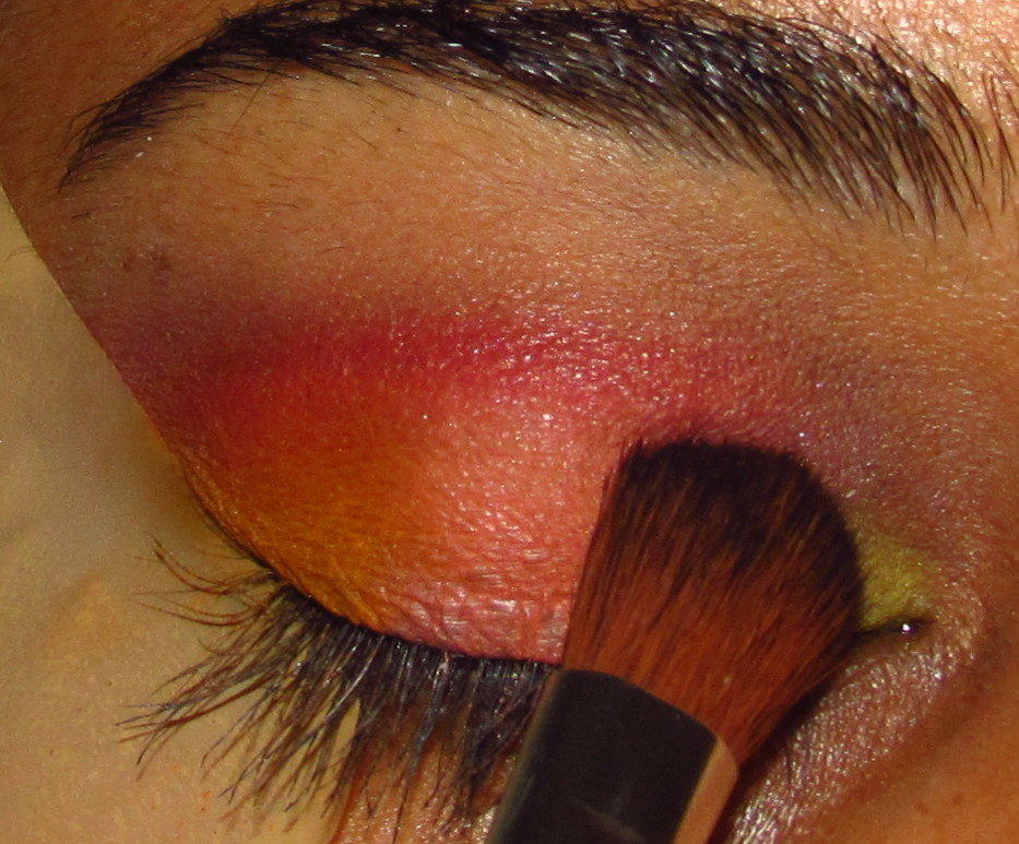 Indian Beauty Central: Birds of Paradise inspired Eye makeup Step wise ...