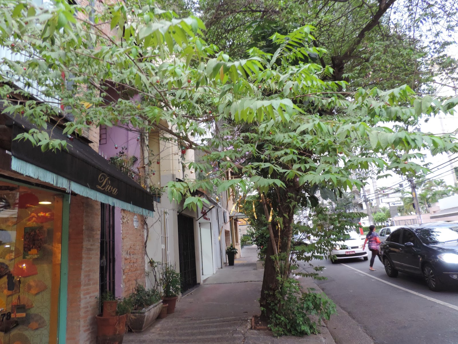 come-se: 01/02/14 - 01/03/14