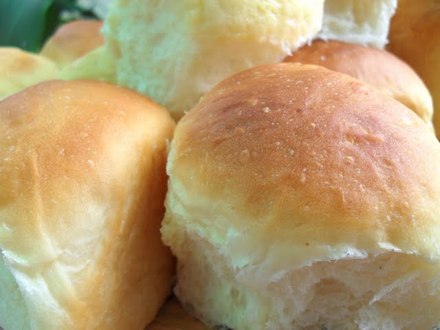 food: japanese cream bread