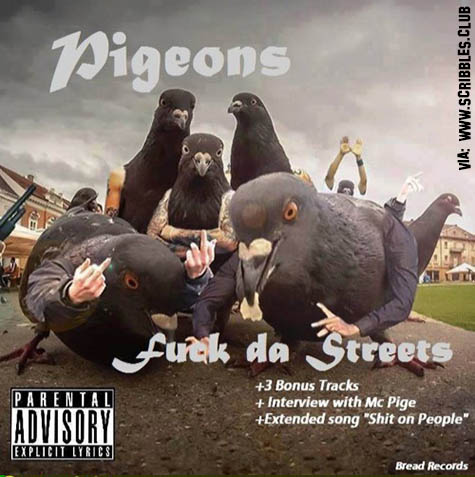 THE PIGEONS RAP COVER - Scribbles Media Club