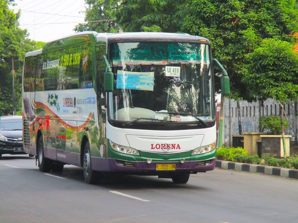 Lorena - Bus Indonesia