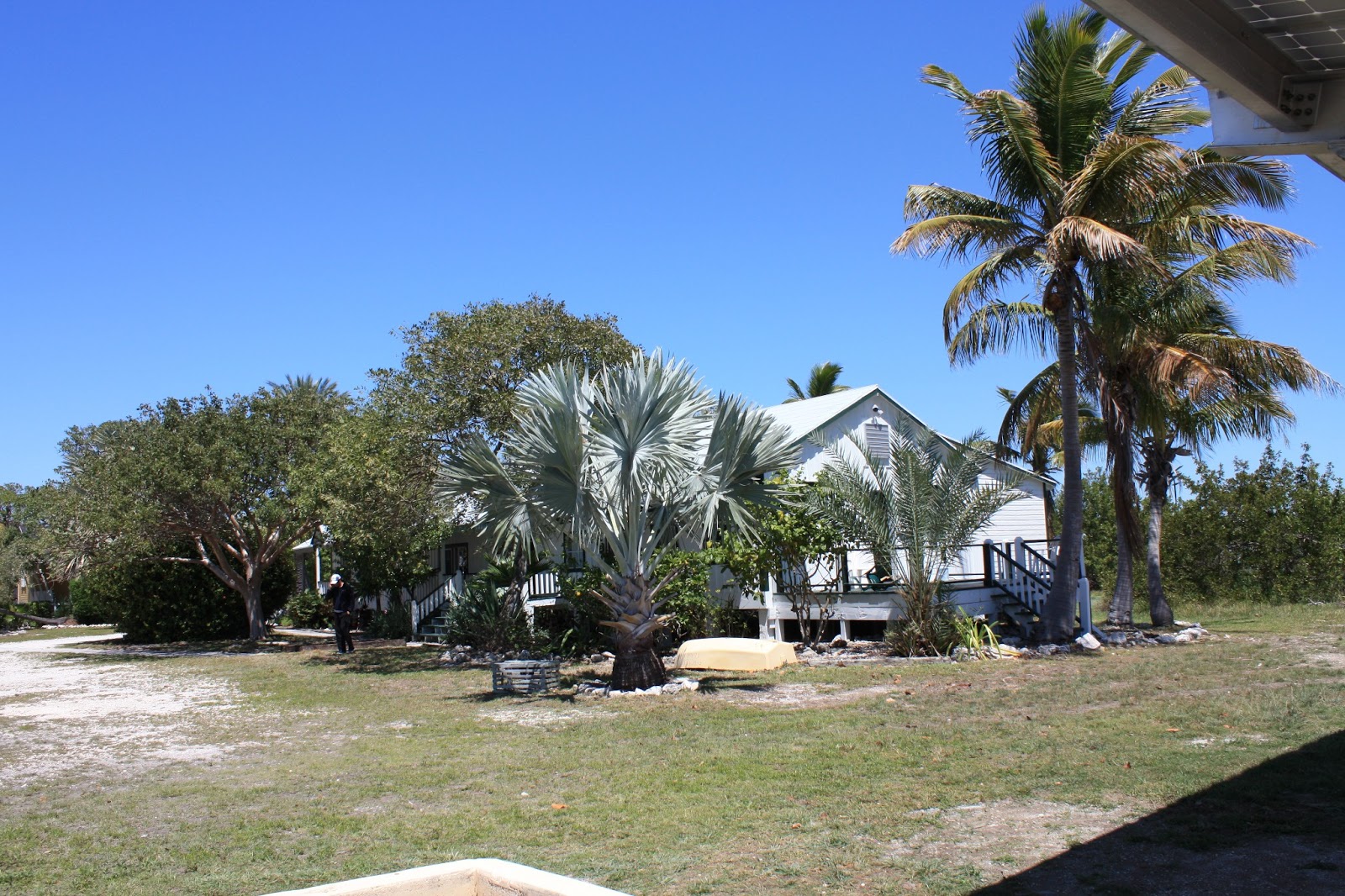 Blue Roads Journal: Pigeon Key