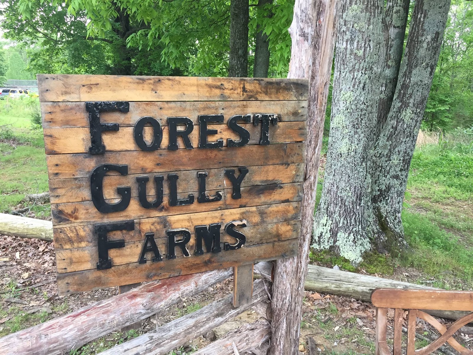 Forest Gully Farms Getaway