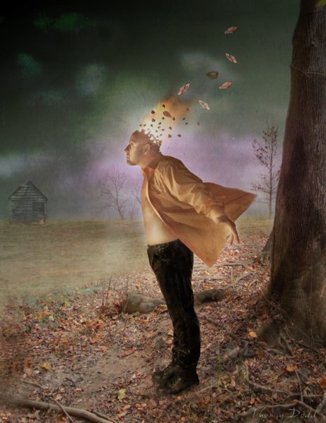 Thomas Dodd ~ Visionary photographer | Tutt'Art@ | Pittura * Scultura ...