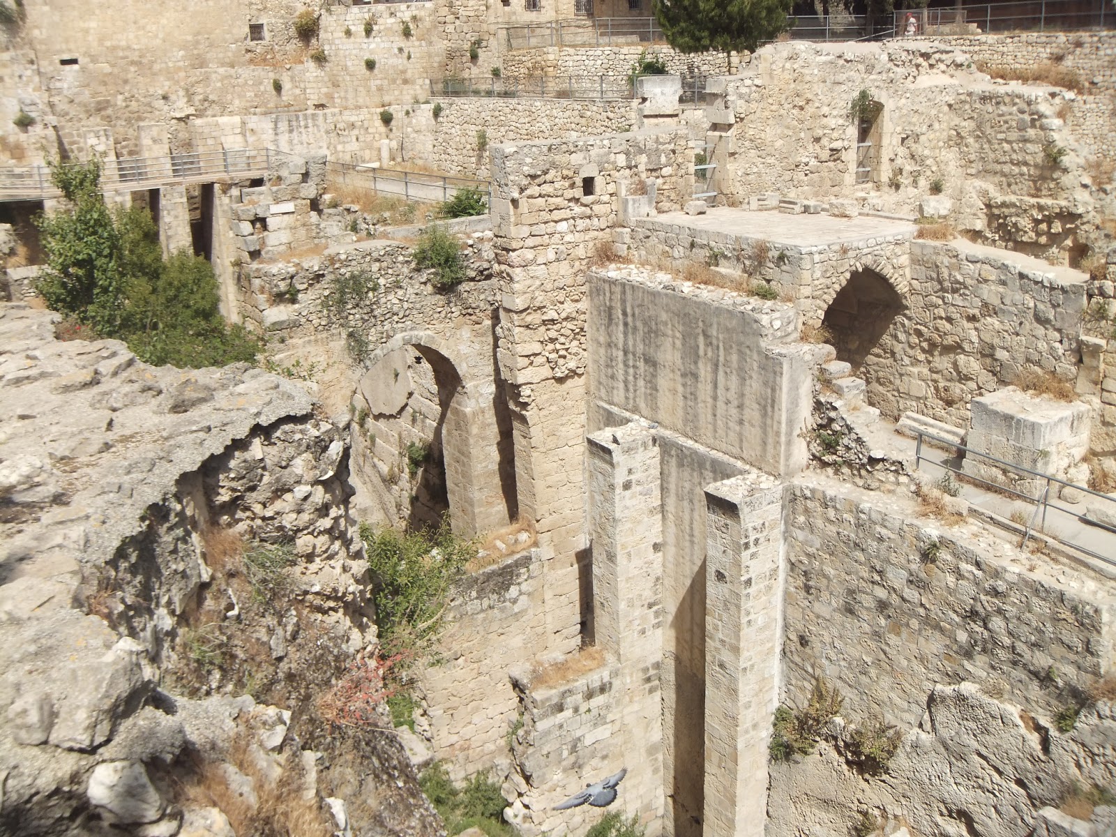 The Pools of Bethesda