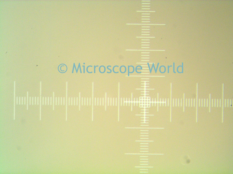 Microscope World Blog: Crossline Reticle under the Microscope