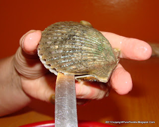 PURE FLORIDA: How To Clean Bay Scallops