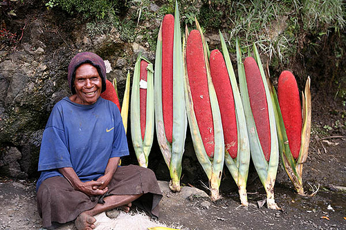 Hamparan Seni: Khasiat Buah Merah Papua