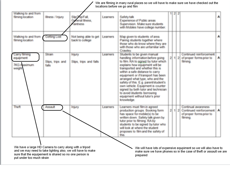 Dilys+Lisa Films: Risk Assessment Form