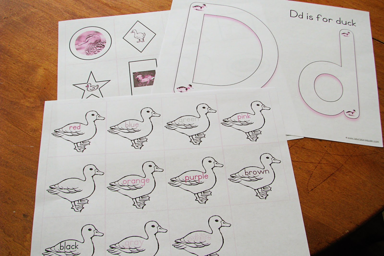 Mommy's Little Helper: Letter D/Ducks Preschool Theme