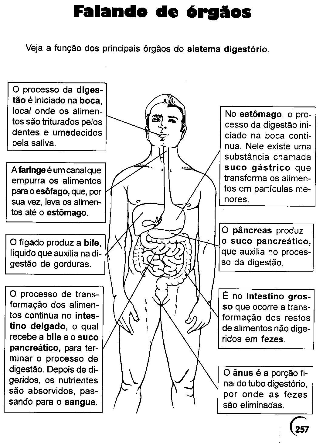 Simulado De Ciências 5 Ano Corpo Humano Com Gabarito - FDPLEARN