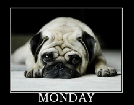 Jimmy's Journal: Another Mundane Monday