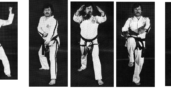 Foot Fist Way: 21. Toi-Gye "pushing block" mystery