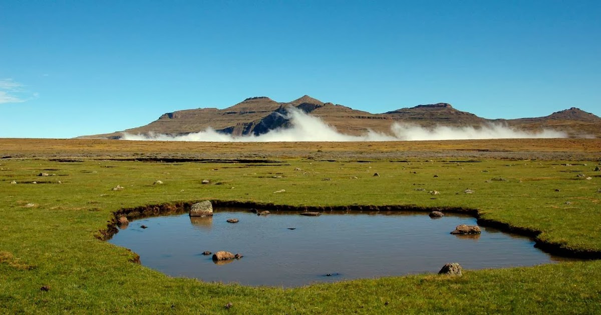 La pradera, la estepa y la sabana - Biología