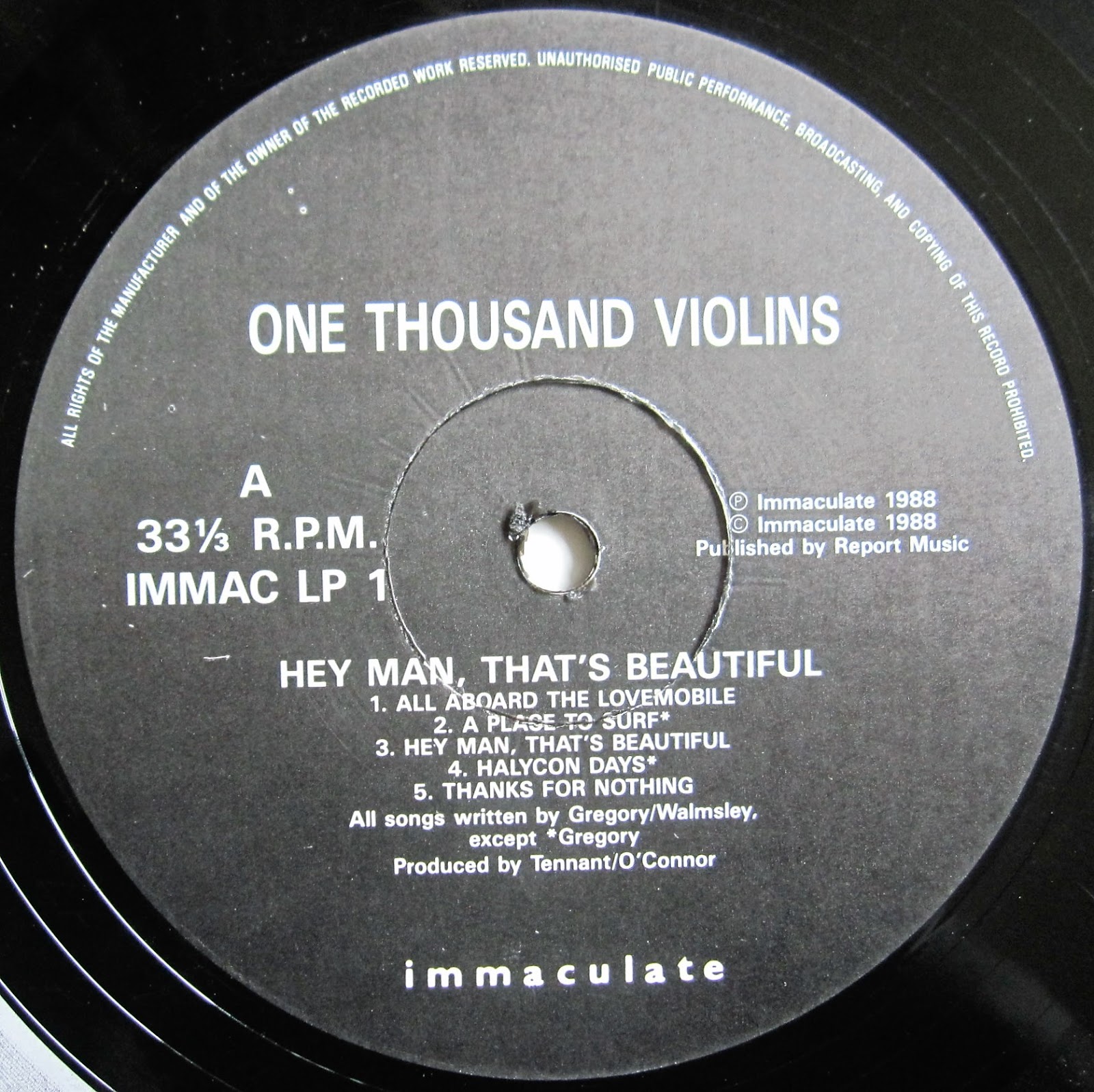 From A Northern Place: One Thousand Violins - Hey Man That's Beautiful (LP)