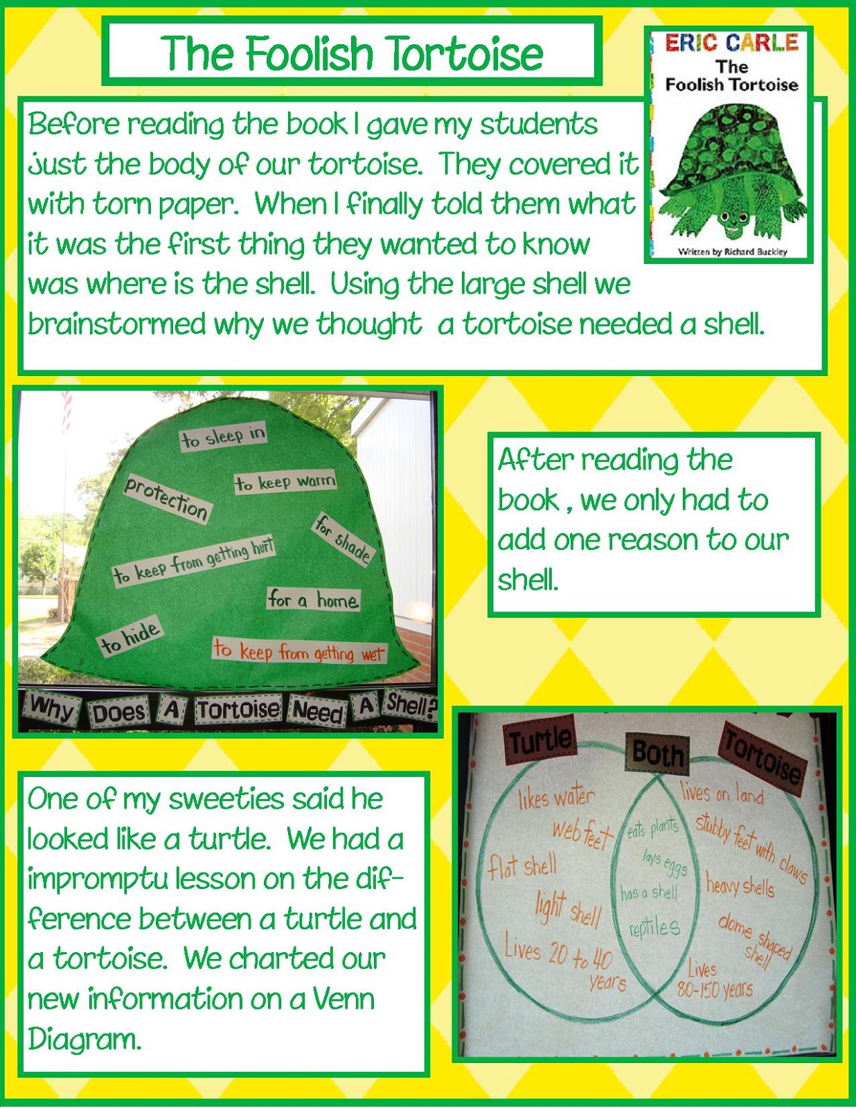 Golden Gang Kindergarten: The Foolish Tortoise