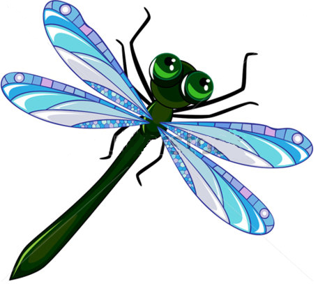 Planse de colorat si fise pentru copii: LIBELULA - IMAGINI cu Insecte ...