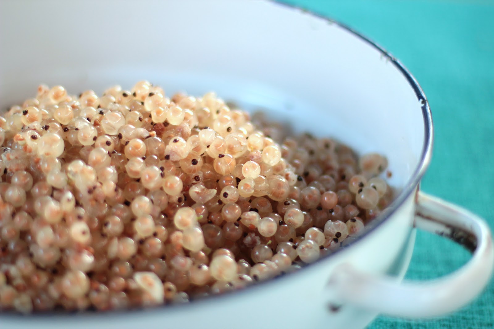 bake your slovak roots / slovenské korene: White Currant Jam / Džem z ...