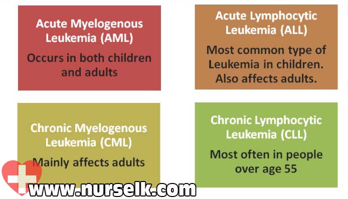 Leukemia | Nurselk.com