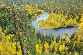 PROYEKTO SA ARALING PANLIPUNAN: Mga uri ng " vegetation cover"sa asya