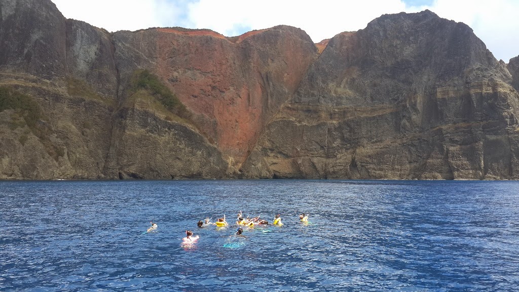 world's best beaches, islands and more: Swimming with dolphins at ...