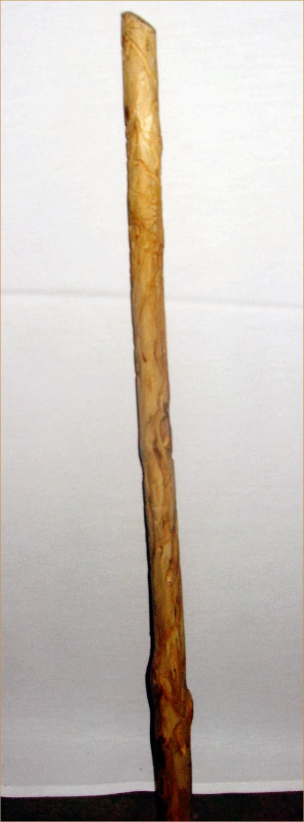 Shepherd staff working copy log in - lopibu