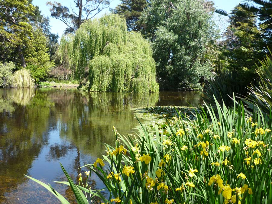 ANYTHING BUT HUMAN: Ripponlea estate yesterday