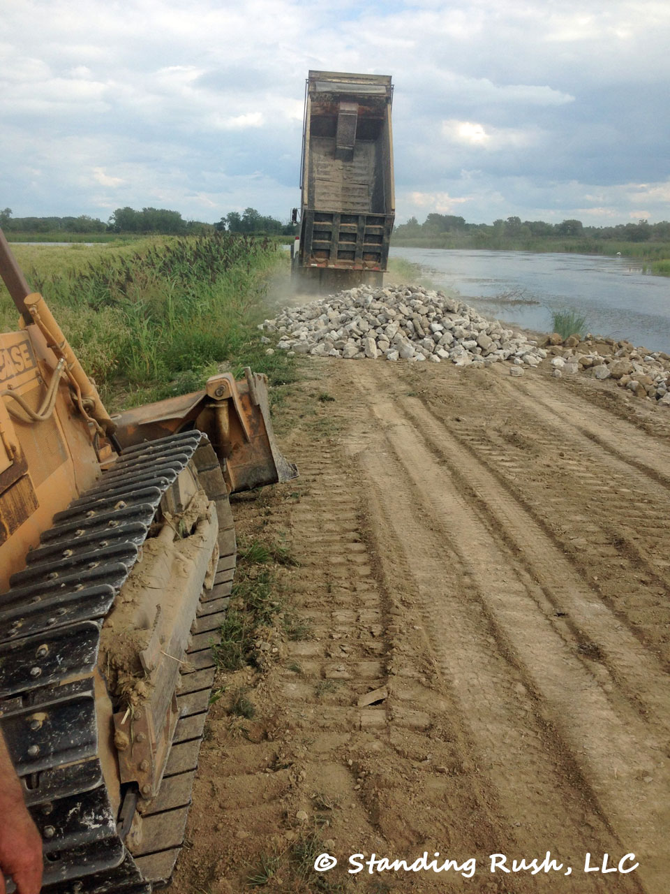 Moment in the Marsh: 2017