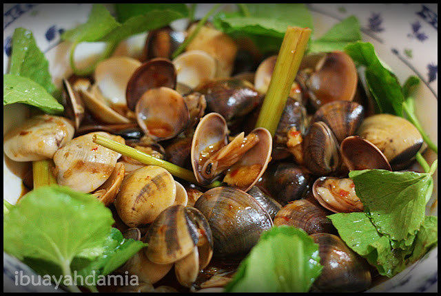 Damia Aleesya, Damia Ayyunie & Daim Muslim: Resepi Remis/ Lala masak ...