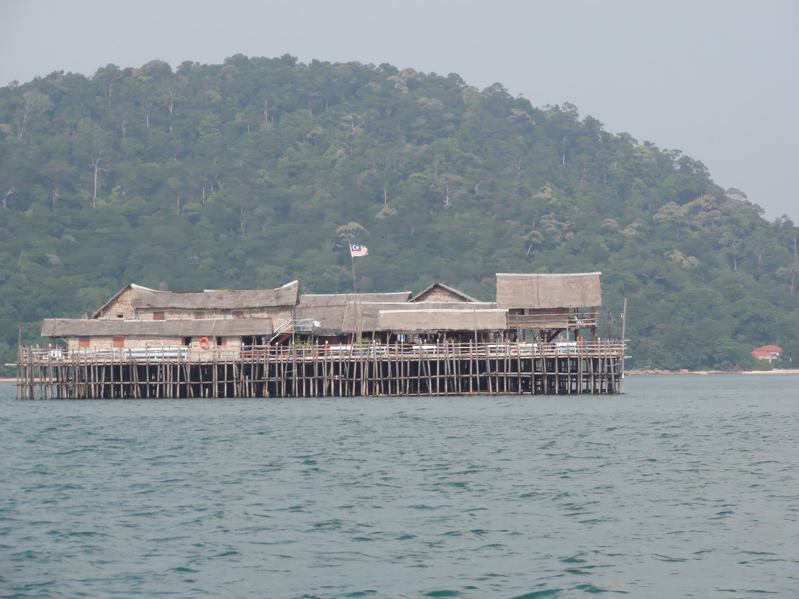 Kuala Rompin Sailfish - Asia Capital Of Sailfish : Jewel Of Pahang ...