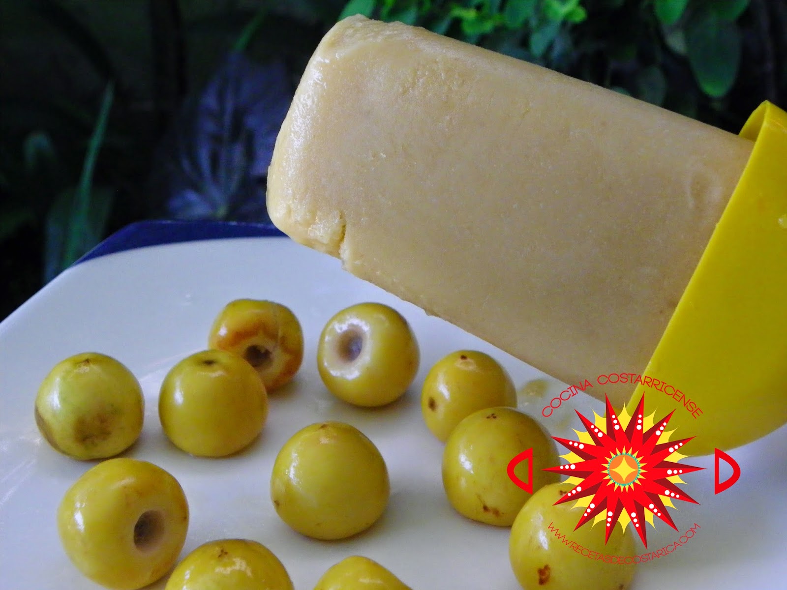 Cocina Costarricense: helados de nance