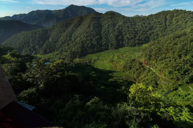 8th Wonder Ifugao Rice Terraces and Hanging House | AvianQuests