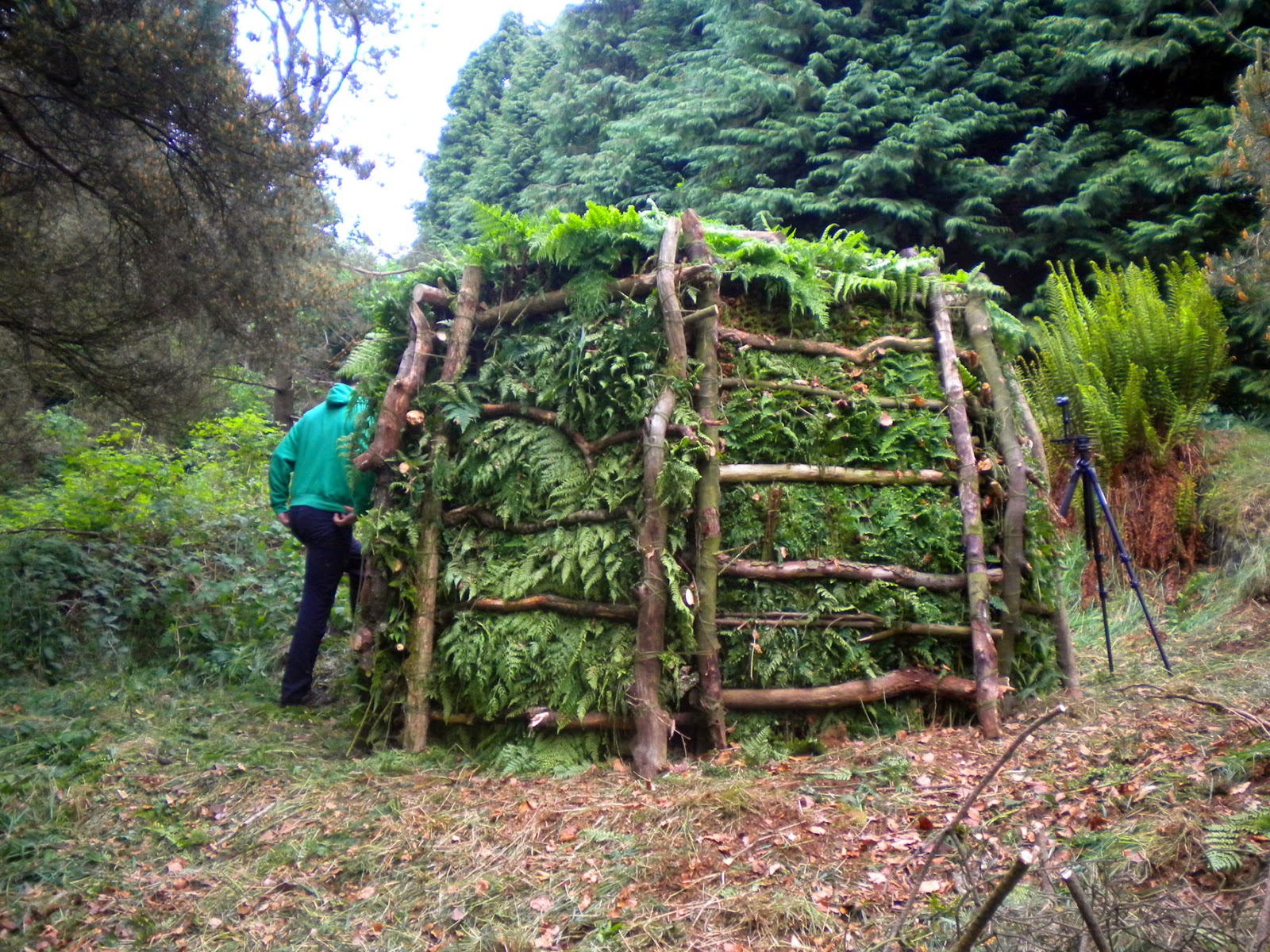 100 Wild Huts: Wild Hut 21