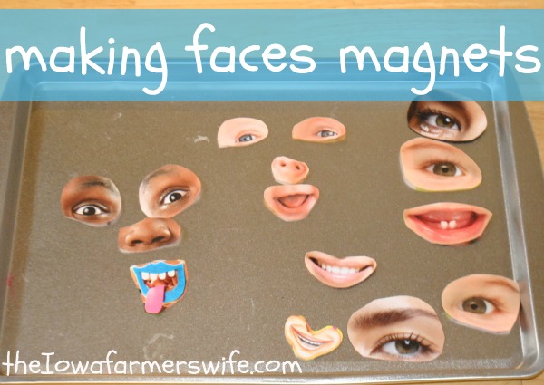 The Iowa Farmer's Wife: Making Faces Magnets