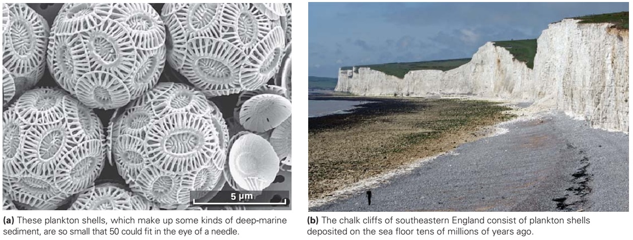 Learning Geology: Recognizing Depositional Environments