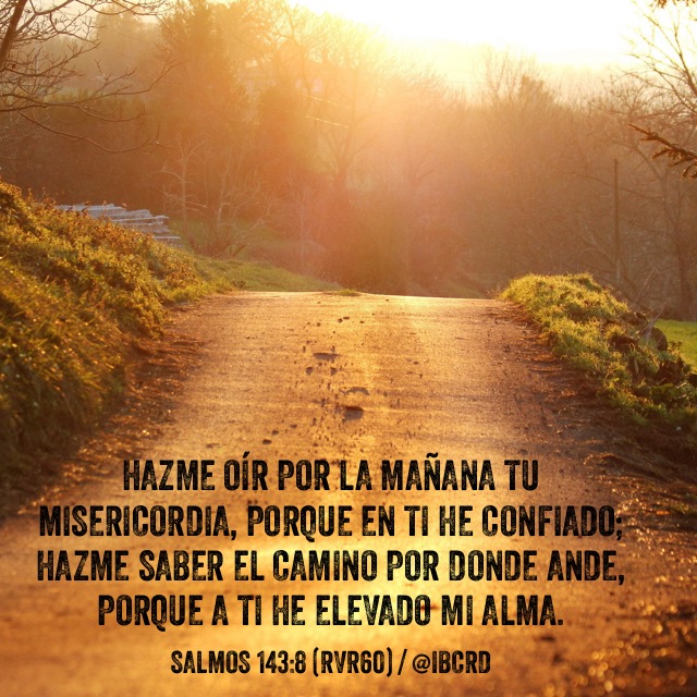 ANTOFAGASTA RELIGIOSA: LA BIBLIA: SALMOS 143