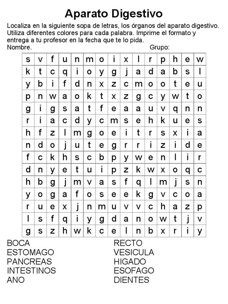 Science Class: Los Órganos 5°