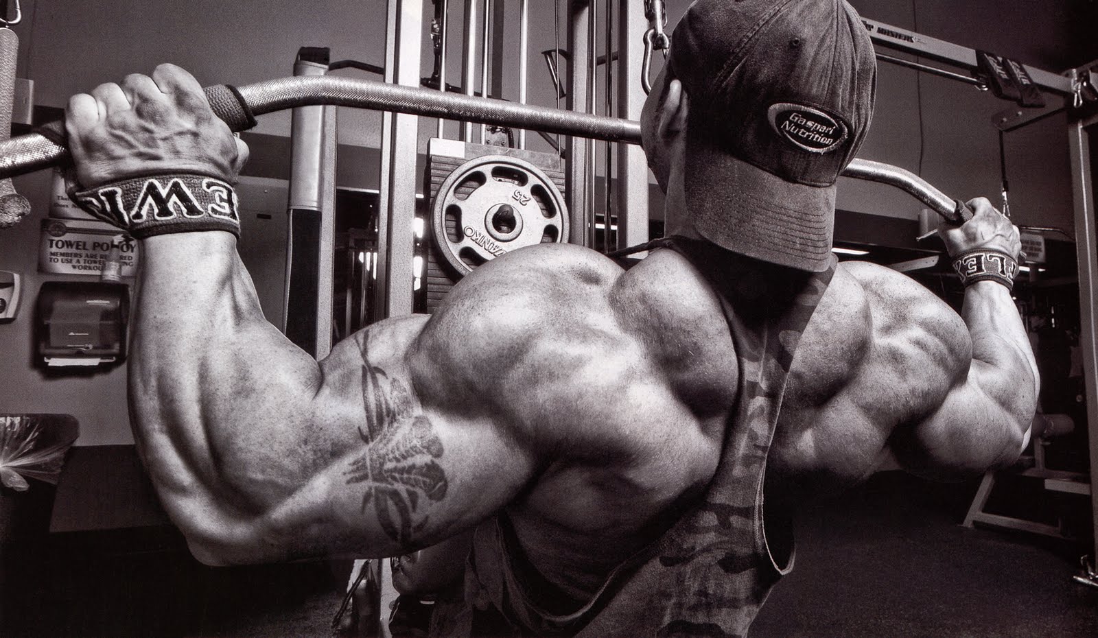 the beauty of male muscle: James