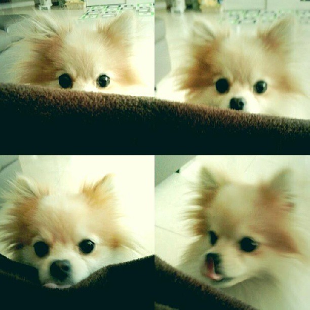 Check out Girls’ Generation’s Yuri batch of lovely photos! | PINKS LAND