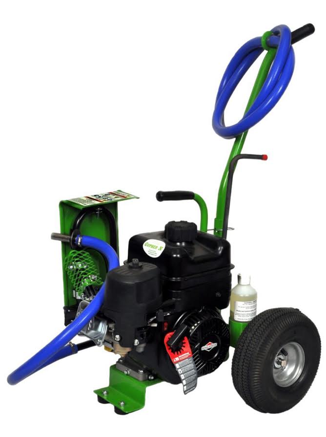 Terrierman's Daily Dose: Killing It at Amazon