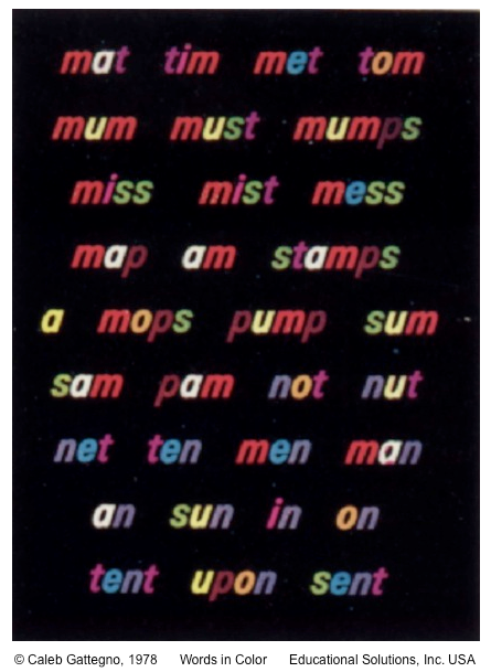 TESOL METHODOLOGY: The Silent Way