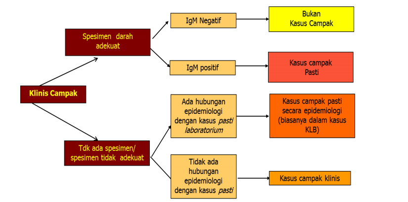 Pedoman Penyelidikan Epidemiologi Penyakit Campak ~ Health Policy And ...
