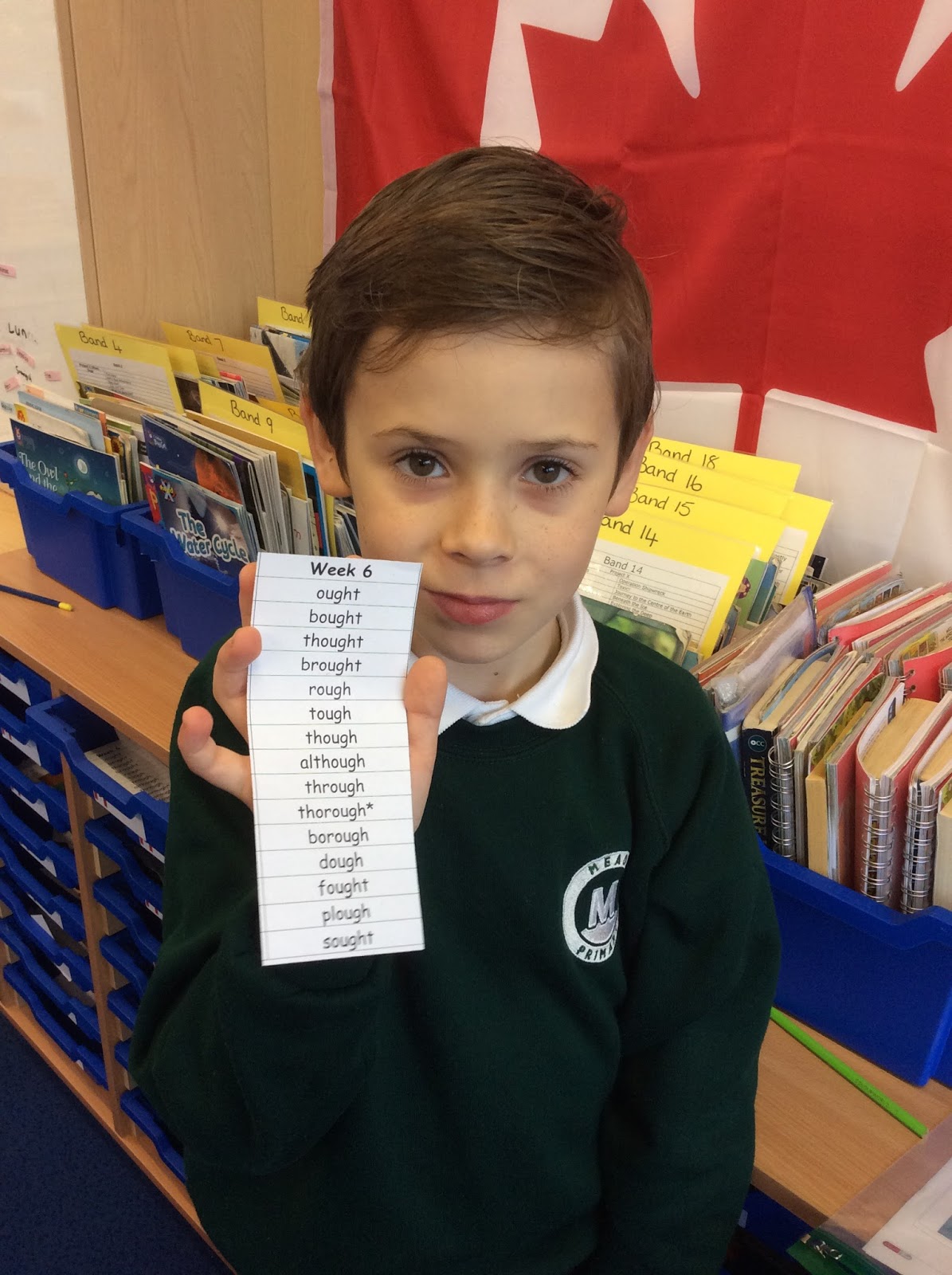 mead-primary-year-5-spellings