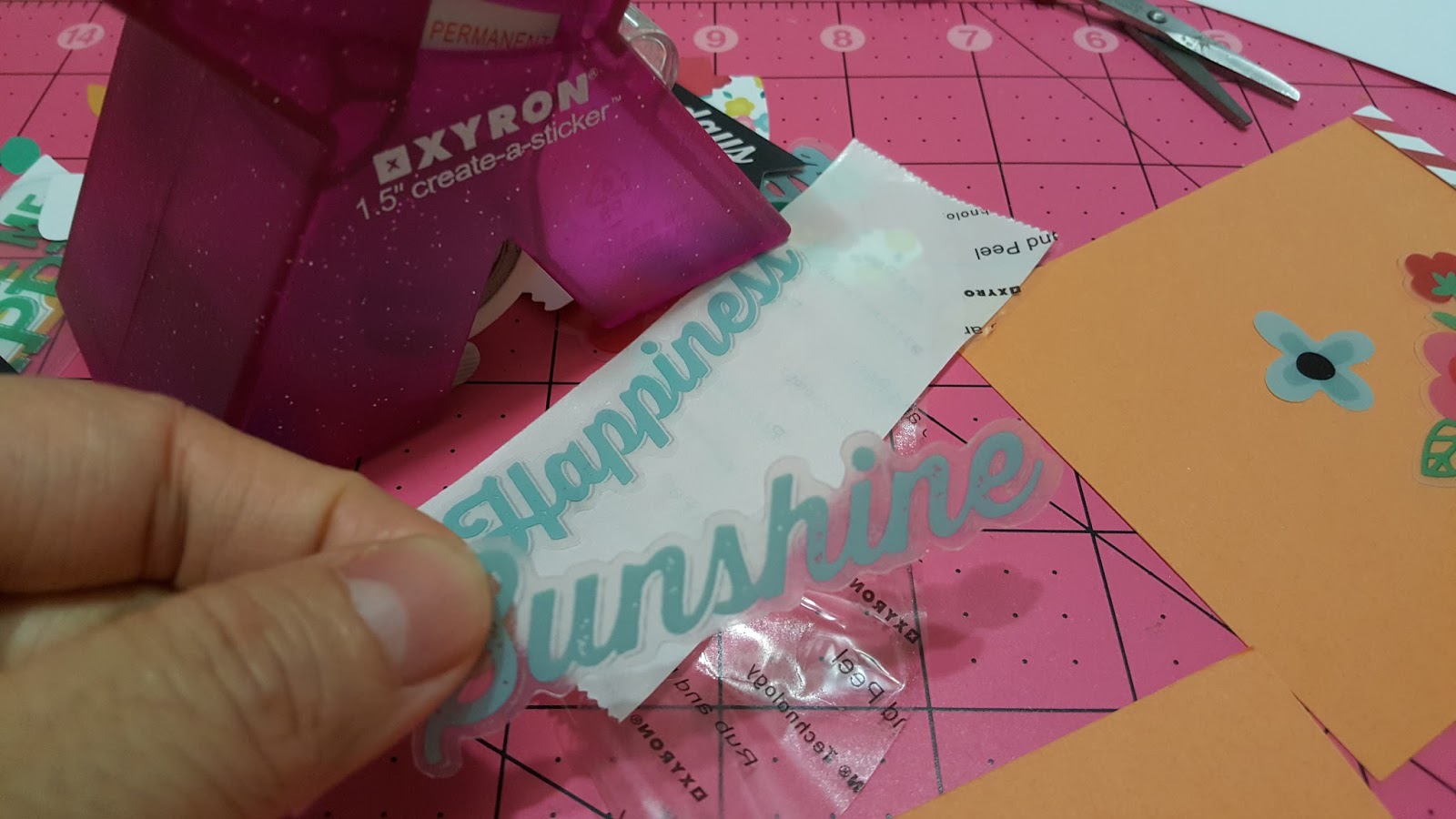 Double Sliding Card | Picture Life